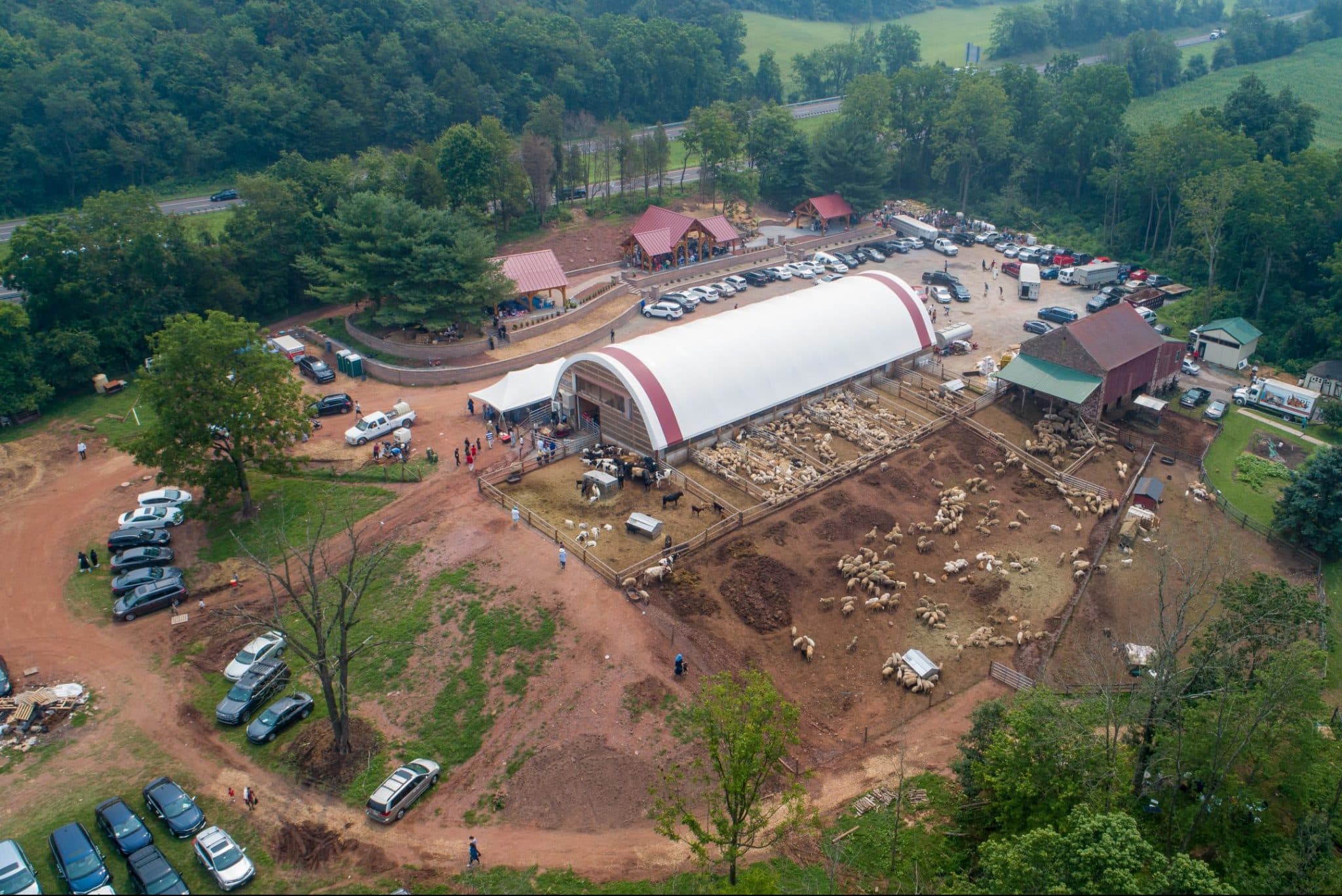 Our Halal Farm Team - Shepherds Touch Farm